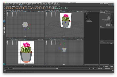 Maya For Beginners
