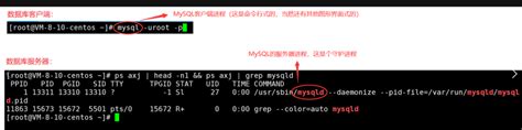 mysql数据库基础知识 安装（非常详细）零基础入门到精通，收藏这一篇就够了 数据库基础学习 csdn博客