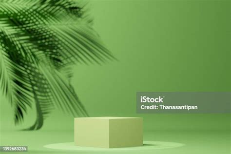 프레젠테이션 3d 렌더링을 위한 그림자가 있는 빈 디스플레이 0명에 대한 스톡 사진 및 기타 이미지 0명 3차원 형태 그림자 Istock