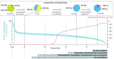 Ionic Reaction Phases Diagram