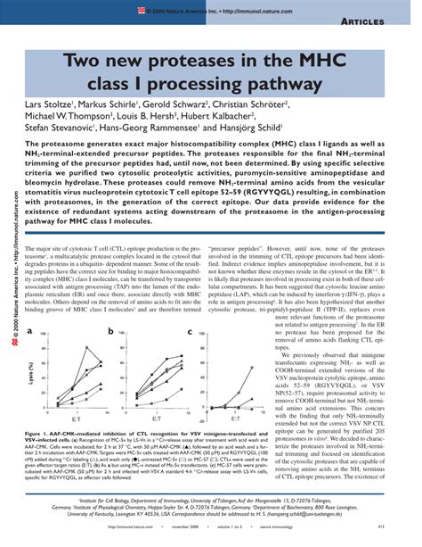 Pdf Two New Proteases In The Mhc Class I Processing Pathway