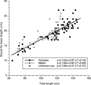 Relationship Between Total Length And Dorsal Fin Base Length For Male Download Scientific