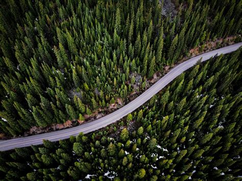 Mosaic Data Science Canada Innovative Data Science Solutions