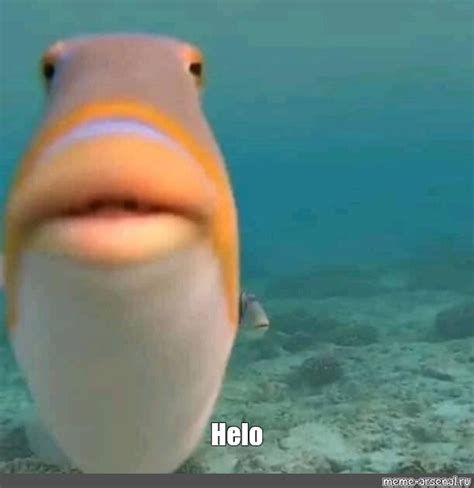 Мем Helo Все шаблоны Meme