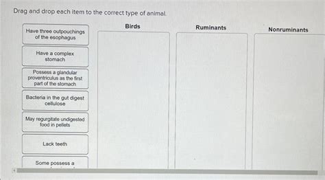 Solved Drag And Drop Each Item To The Correct Type Of