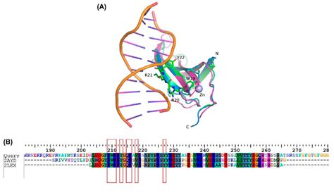 A Structural Alignment Of The Modelled Car Wrky Tf Green With The