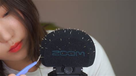 Asmr 마이크에 박힌 가시와 털들 다 뽑기 자극적인 사운드 마이크 괴롭히기 Youtube