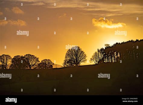 Sunset On A Hillside With The Sun Behind A Forest Of Trees Stock Photo Alamy