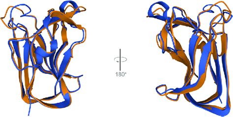 Superimposition Of Crystal Structure For Cbm32 2 Basis For Nc A Class Download Scientific