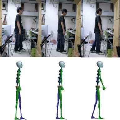 Directional Vector Of The 3 Axis Accelerometer Download Scientific Diagram