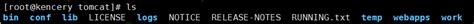 Linuxcentos安装tomcat并且部署java Web项目linux Tomcat部署java项目 Csdn博客