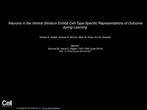 Neurons In The Ventral Striatum Exhibit Cell Type Specific Representations Of Outcome During