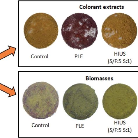 Curcumin Contents Of Extracts Obtained By Solid Liquid Extraction