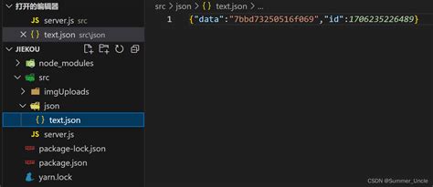 nodejs写接口json文件实现数据库存储 四 nodejs json数据库 CSDN博客