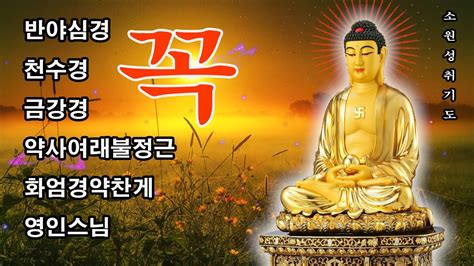 매일 들어라 소원이 실현되는 건강 과 돈 행운 🙏 반야심경천수경천지팔양신주경금강경 듣는순간 신묘한 차크라가 작동됩니다 불교 음악 Youtube