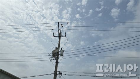 보성서 전봇대 계량기 설치하던 30대 감전 사고로 숨져