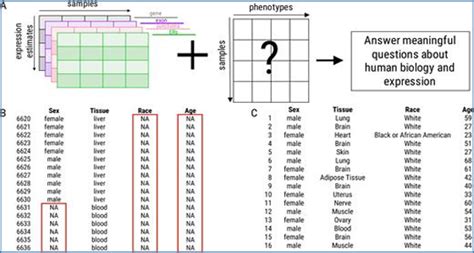 Improving The Value Of Public Rna Seq Expression Data By Phenotype Prediction Rna Seq Blog