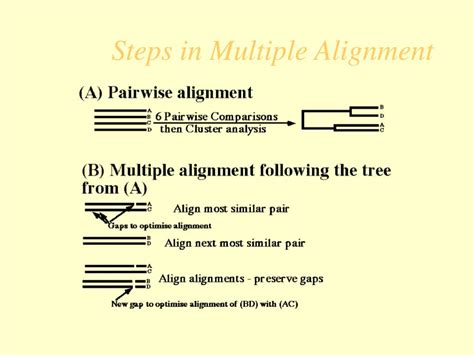 PPT Multiple Sequence Alignment PowerPoint Presentation Free Download ID