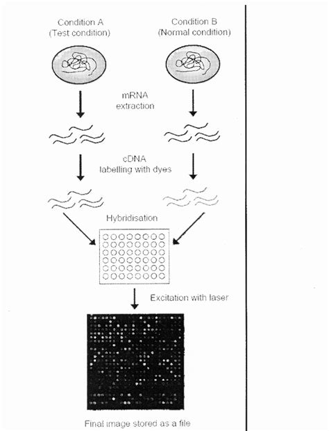 Figure 21 From Comparative Analysis Of Parametric Nonparametric And Permutation Methods For