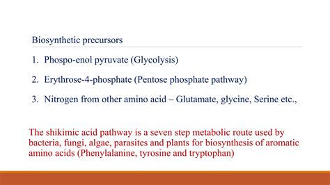 Basic Metabolic Pathways I Pptx
