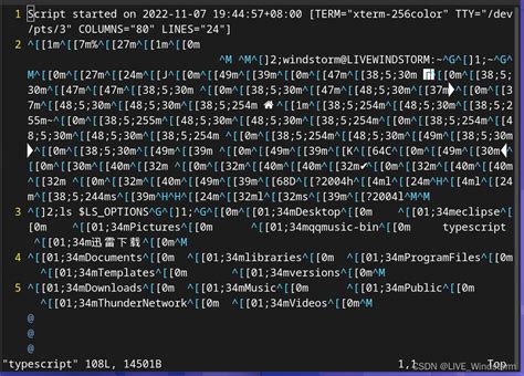 linux 记录终端回话（记录终端操作输出） 纯黑框终端中怎么回看界面上的信息 csdn博客