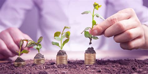 الاستثمار للمبتدئين دليل كامل لأساسيات الاستثمار Qsalary