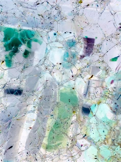 segmentation by angela collier abstract artists minerals print