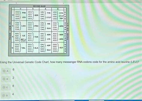 Solved: Using the Universal Genetic Code Chart, how many messenger RNA codons code for the amino ...