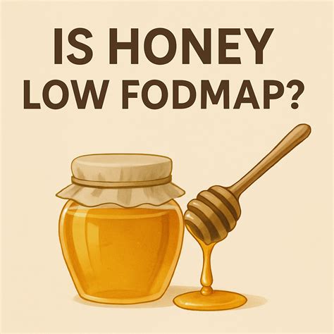 Best Low Fodmap Cheese Your List Of Low Lactose Options
