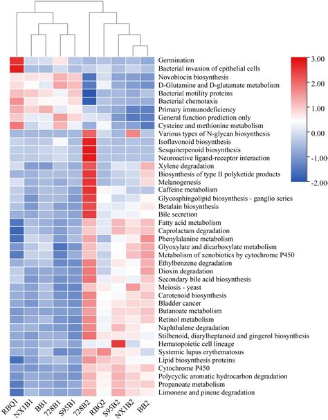 Frontiers | Unveiling Endophytic Bacterial Community Structures of Different Rice Cultivars ...
