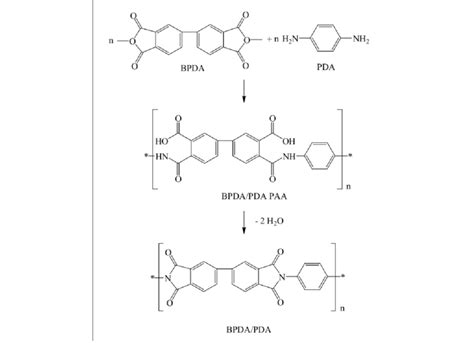 synthesis steps of the bpda pda polyimide download scientific diagram