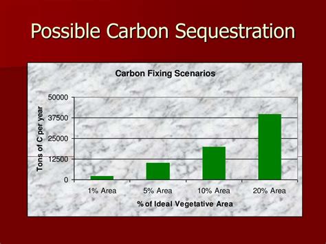 Ppt Carbon Sequestration Powerpoint Presentation Free Download Id 6630326