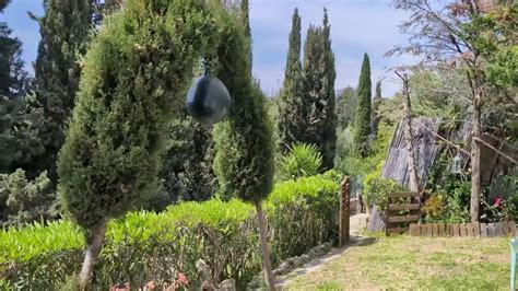 Just Orange Things Album On Imgur