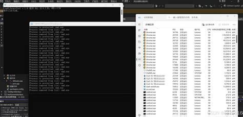 【windows】在任务管理器中隐藏进程 Csdn博客