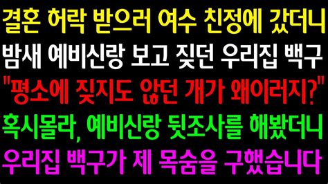 실화사연결혼허락 받으러 친정에 갔더니 예비신랑 보고 짖던 우리집 백구평소에 짖지도 않던 제가 왜이러지혹시몰라 예비신랑 뒷조사를 해봤더니 우리집 백구가 제 목숨을