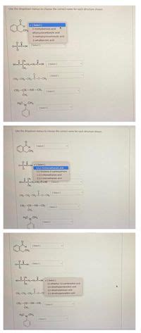 Answered: Use the dropdown menus to choose the correct name for each structure shown. V(Select ...