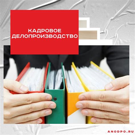 Кадровое делопроизводство | АНО УЦ ДПО «Академия»