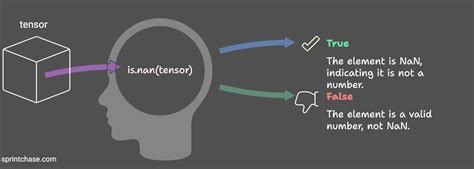 Torch Isnan How To Check NaN Value In PyTorch