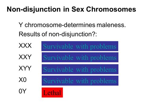Patterns Of Chromosome Inheritance Ppt Download