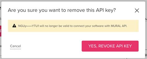 API Key Management