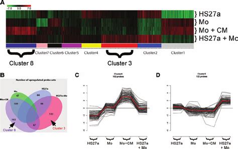 K Means Clustering Analysis Of Microarray Data Obtained From Hs27a Download Scientific Diagram