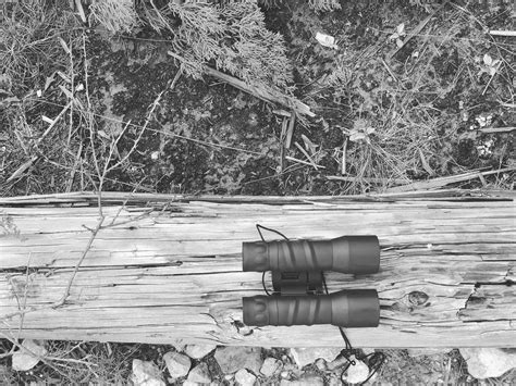 Essential Software Selection Strategies — The Confluencial