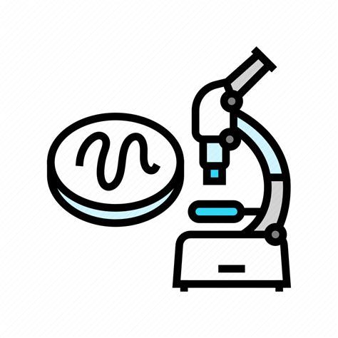 Microscope Worm Parasite Roundworm Dog Tapeworm Icon Download On