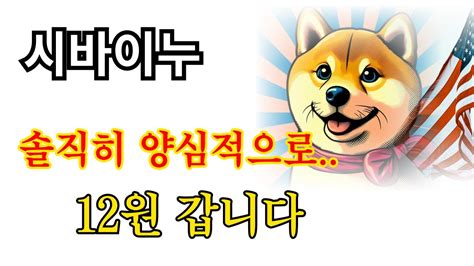 시바이누 코인 솔직히 양심적으로 말씀드립니다 12원 확정 Youtube