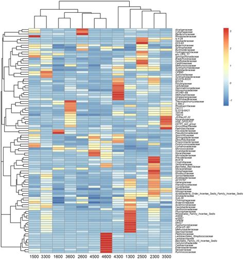 double hierarchical dendrogram shows the bacterial distribution the