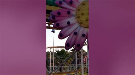 ციცინათელა 2023 Youtube