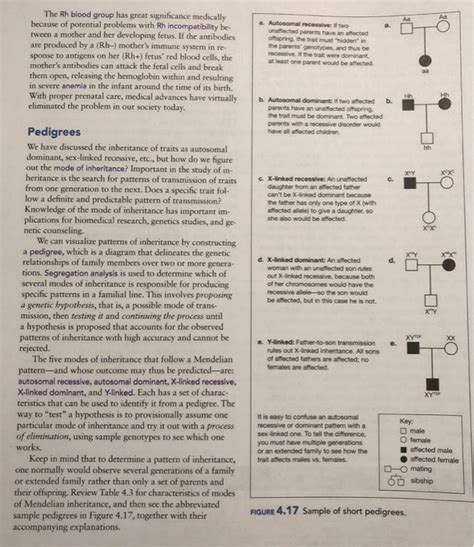 Solved LAB EXERCISE Continued Name For The Remaining Chegg