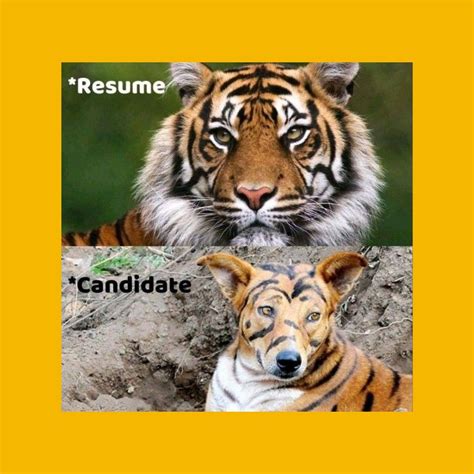 Azhaar Mohammad On Linkedin Hiringtips Recruitmentinsights Resumetruths Hrcommunity