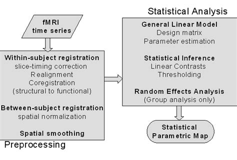 Key Stages In FMRI Data Analysis Download Scientific Diagram