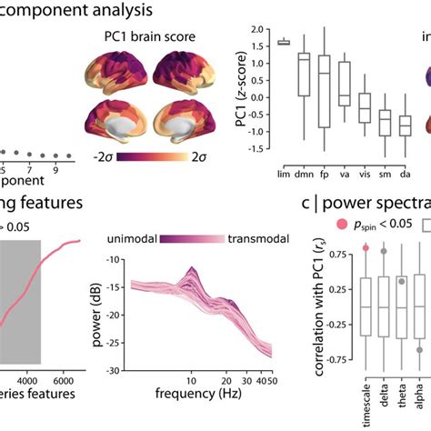 Feature Based Representation Of Neurophysiological Time Series Highly